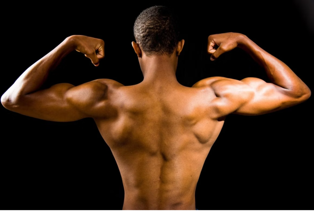 How Inflammation Affects Muscle Growth and Recovery – Exploring Health ...